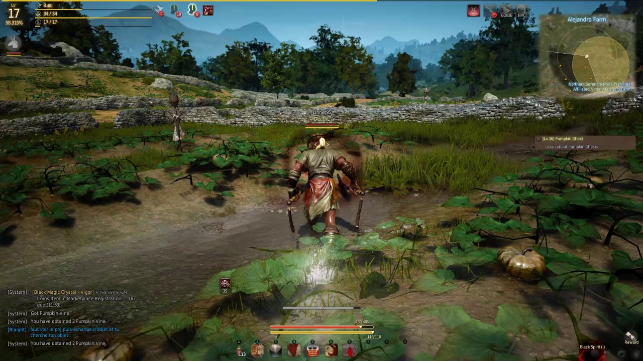 Pumpkin Ghost Quest Black Desert Online - YouTube
