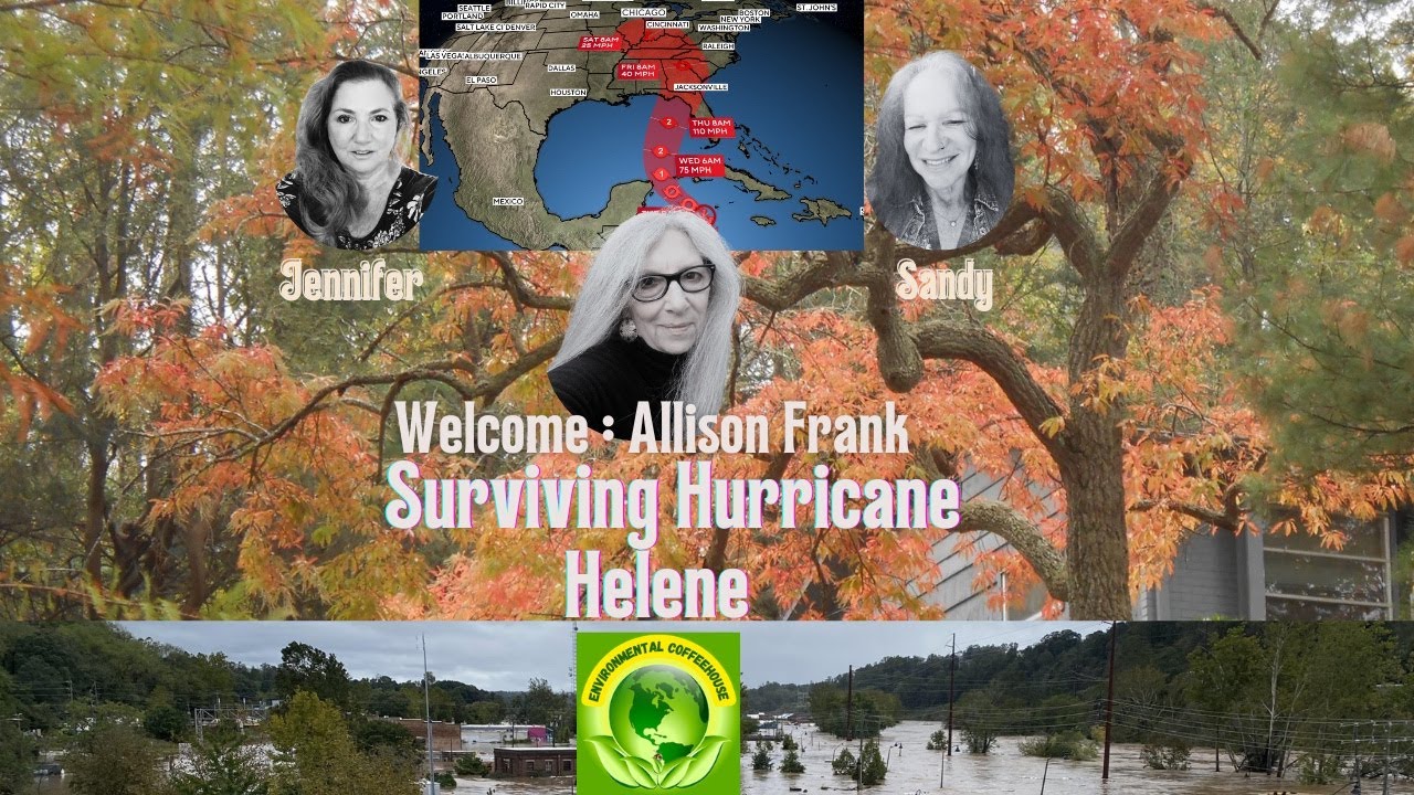 Surviving Hurricane Helene with Allison Frank - YouTube