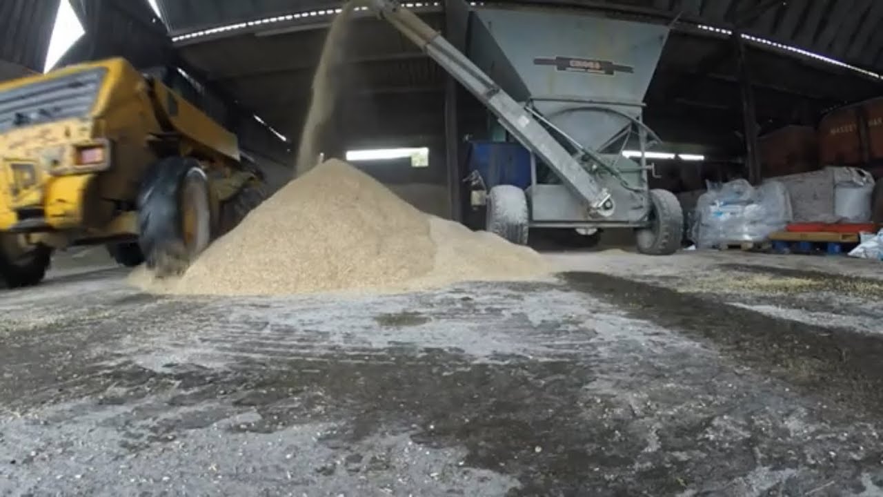 DON’T SPILL IT — ROLLING GRAIN - YouTube
