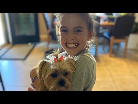 Bandana talking challenge with a guest!!