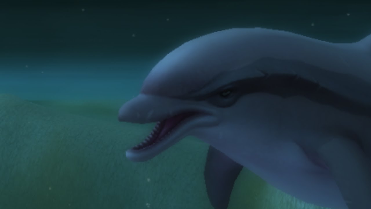 vicious dolphin - YouTube