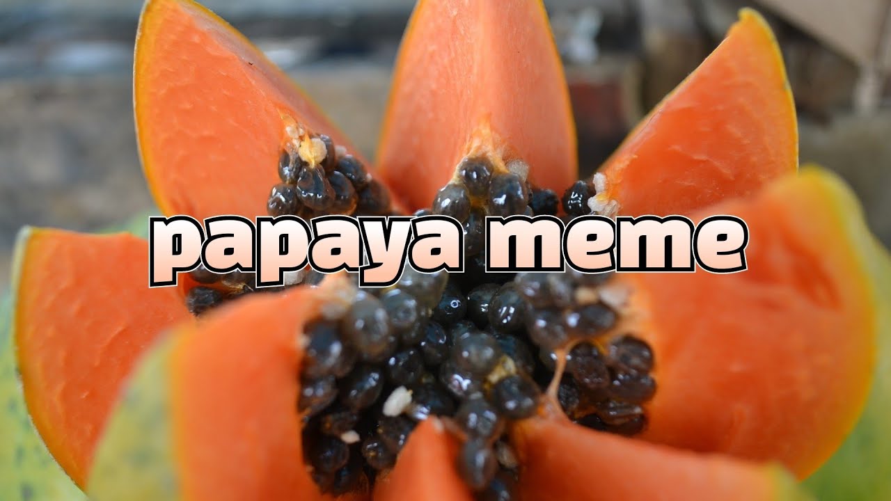[OC]papaya meme - YouTube