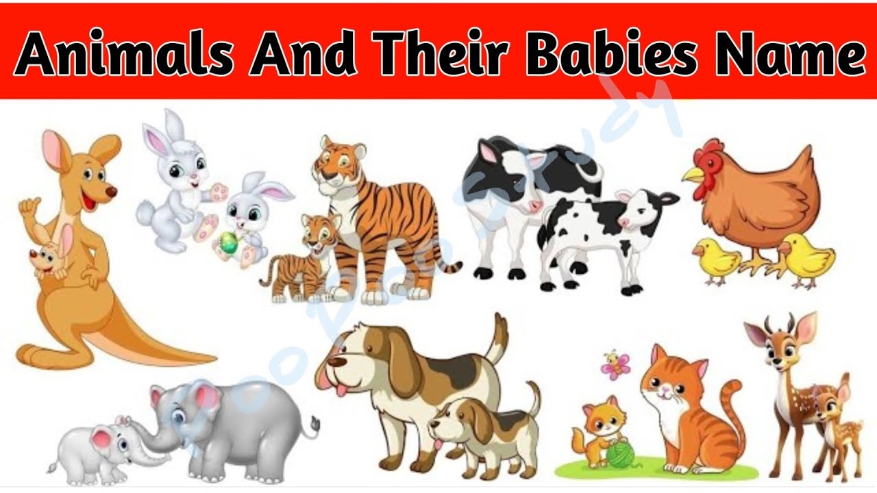 Young ones of animals | Animals and babies | Animals for kids ...