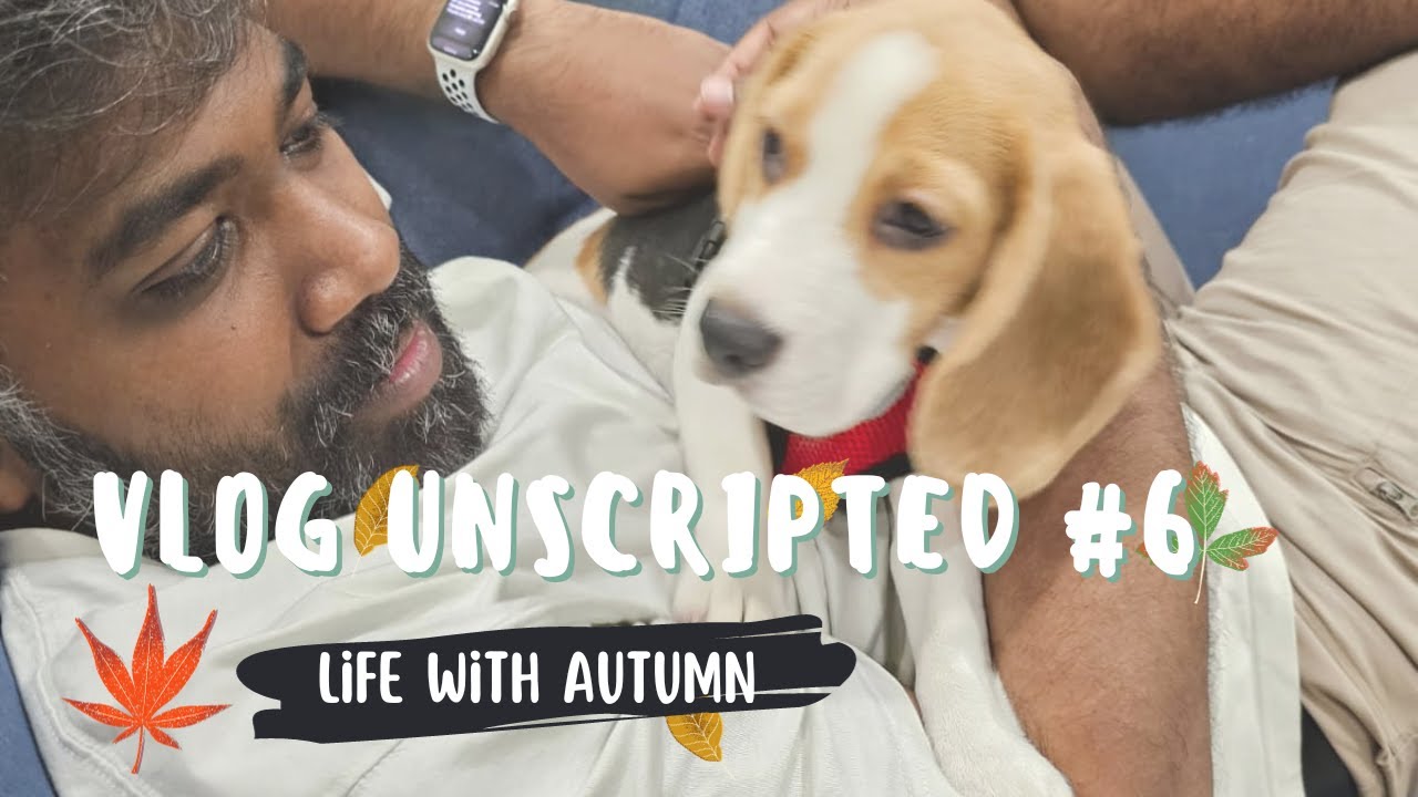Life with Autumn - Dog Vlog - Vlog Unscripted #6 - YouTube