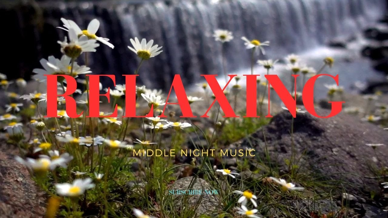 Relaxing Music/Bedtime - Essential Live Music - YouTube
