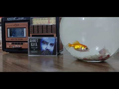 #ahmetkaya  #müzik ( hevî û jiyan )