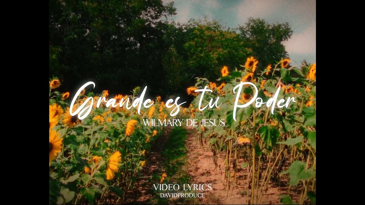 GRANDE ES TU PODER - Wilmary De Jesus (Video Liryc) - YouTube
