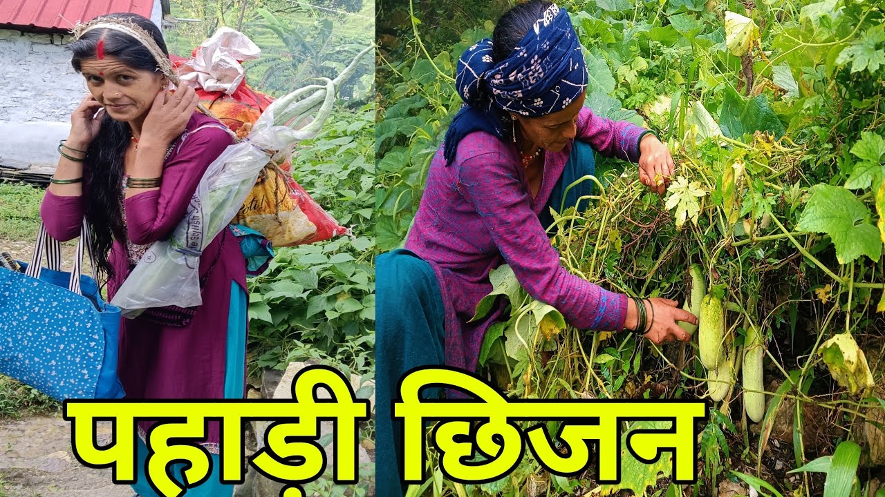 Pahadi Vegetable Shejan Radhika Mehta Vlog - YouTube