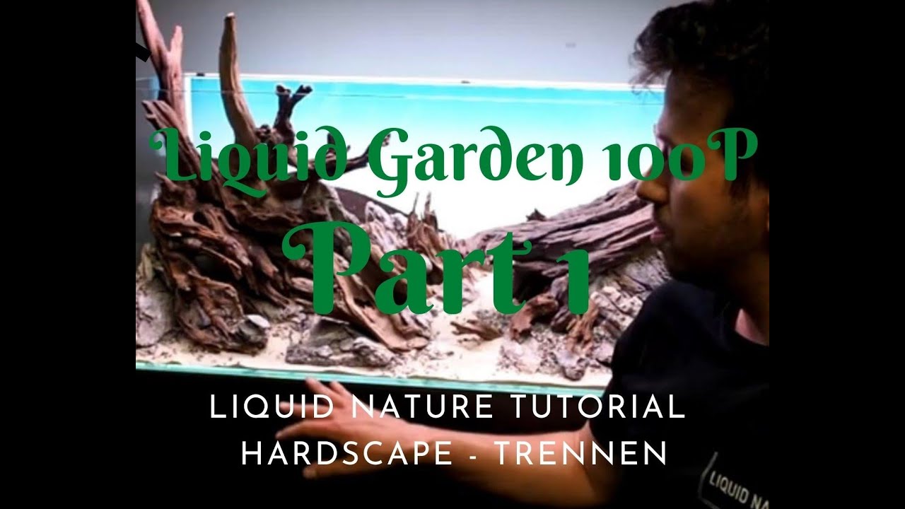 Hardscape trennen Liquid Garden 100P I 160L Aquascape Part I I Liquid ...