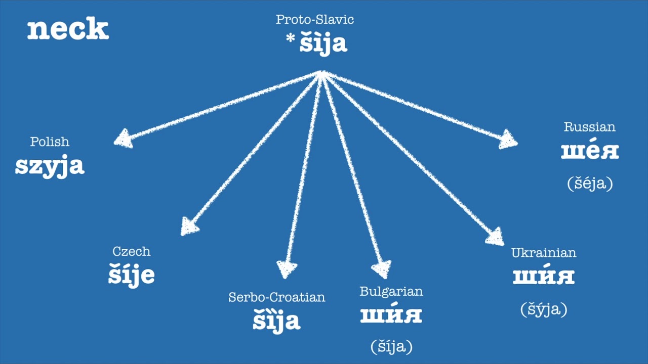 Body Parts Comparison (Slavic Languages) - YouTube