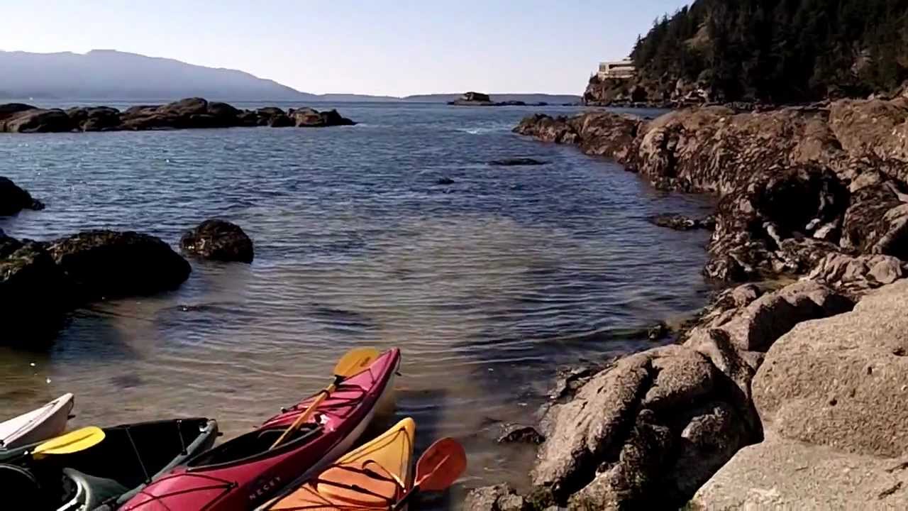 Four Friends Explore Wildcat Cove Tide Pools - Chuckanut Drive - YouTube