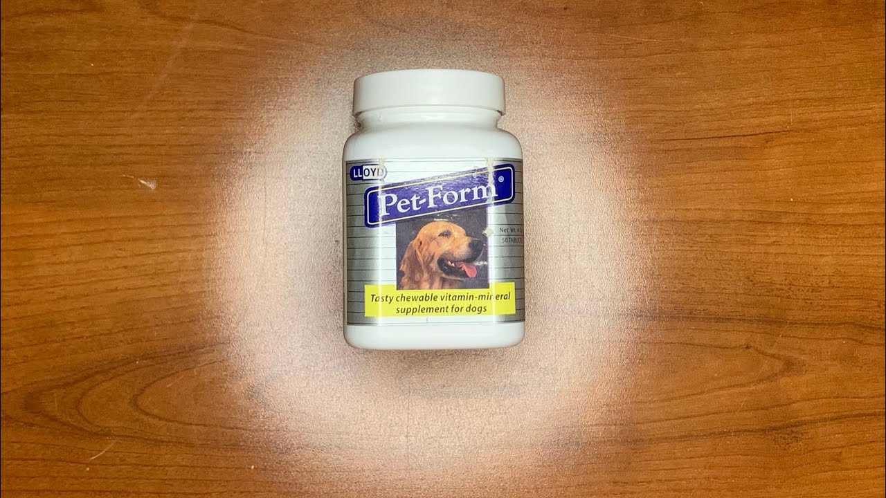 Pet Form Survival Kit - YouTube