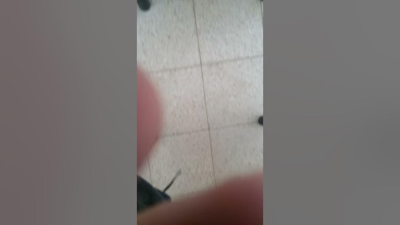 Sex In Schol Youtube
