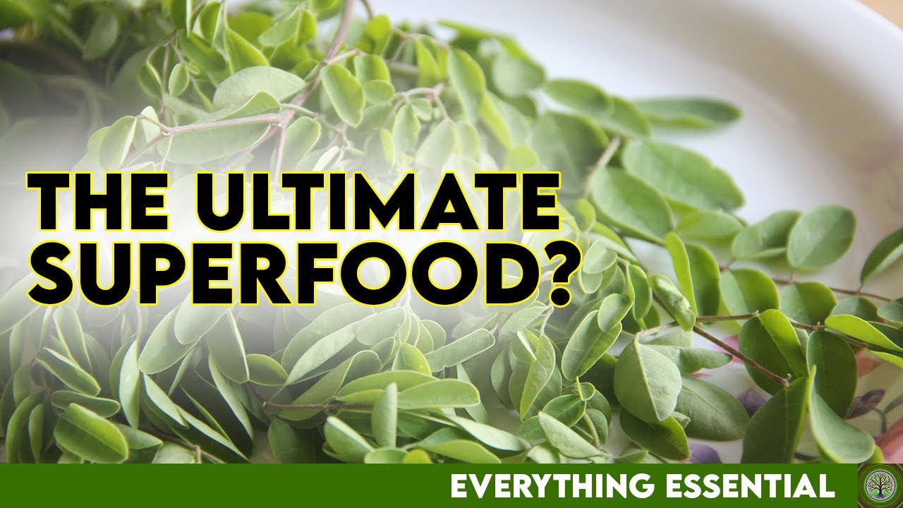 Unlock the Health Benefits of Moringa: The Ultimate Superfood - What ...