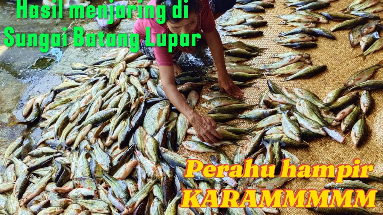 Enda di sadang,enda di sangka,pemayuh ikan baka batu kerangan ulih ...