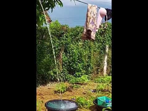 da dej 2021, hluas nkauj hmoob toj siab mus da dej 2021 #Shorts