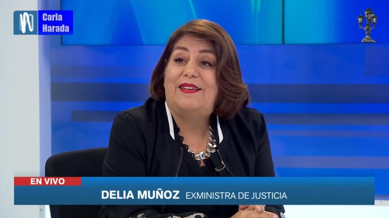 Delia Muñoz: elección del Defensor; institucionalidad vs. legitimidad ...