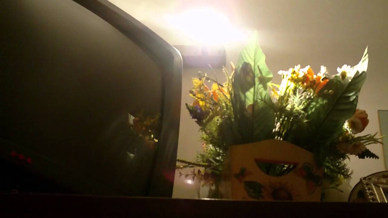 SABAUDIA cercasi affitto - YouTube