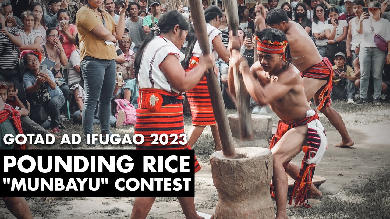 Pounding Rice "Munbayu" Contest | Gotad ad Ifugao 2023 - YouTube