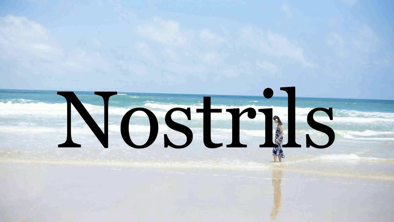 How To Pronounce Nostrils Pronunciation Of Nostrils YouTube how-to-pronounce-nostrils-pronunciation-of-nostrils-youtube