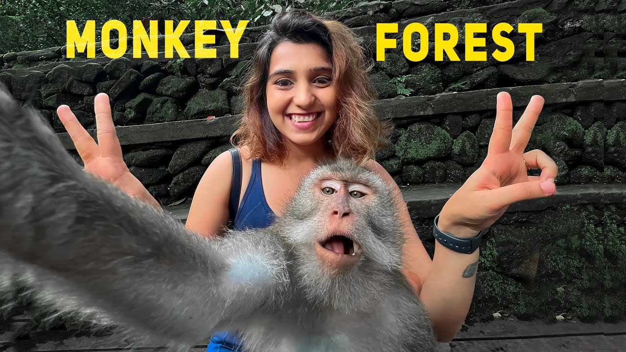 This Monkey Took Selfie With Me - Full Details of Monkey Forest | Ubud ...