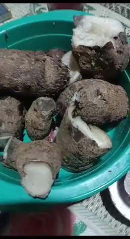 Mbothe Snak Tradisional - YouTube
