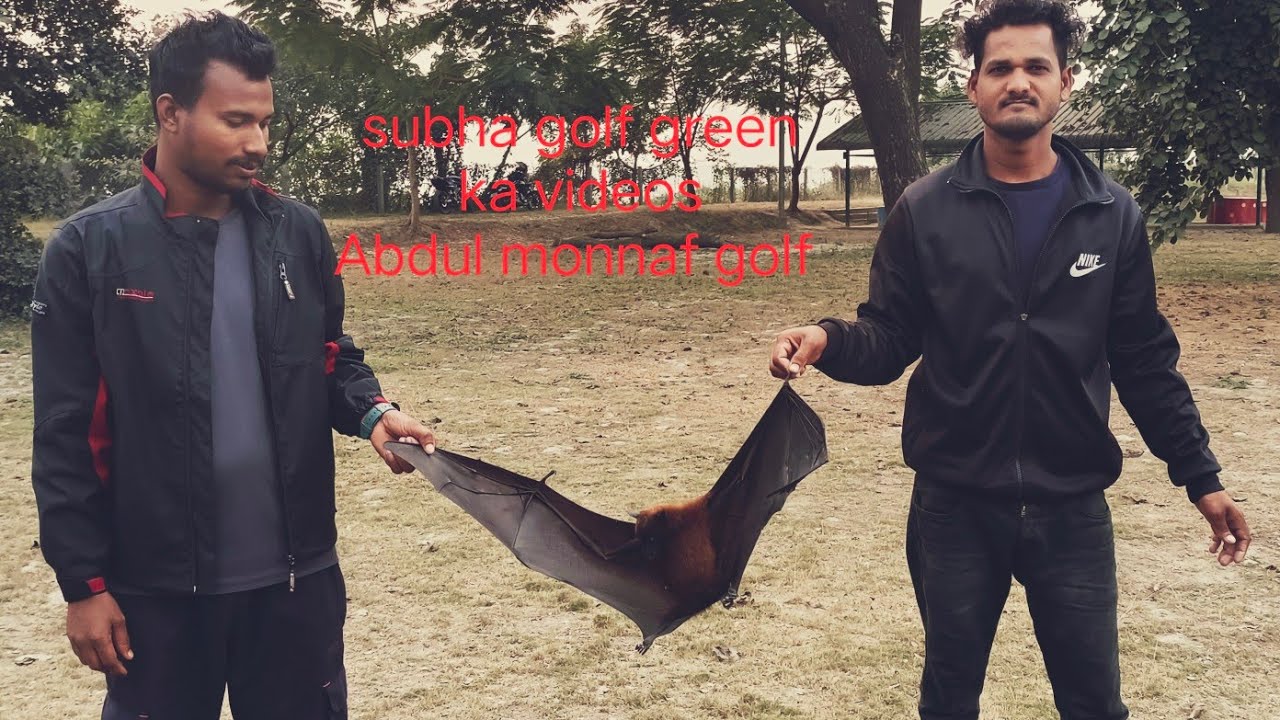 Amingaon Railway Eco Park Subah Ka nazara - YouTube