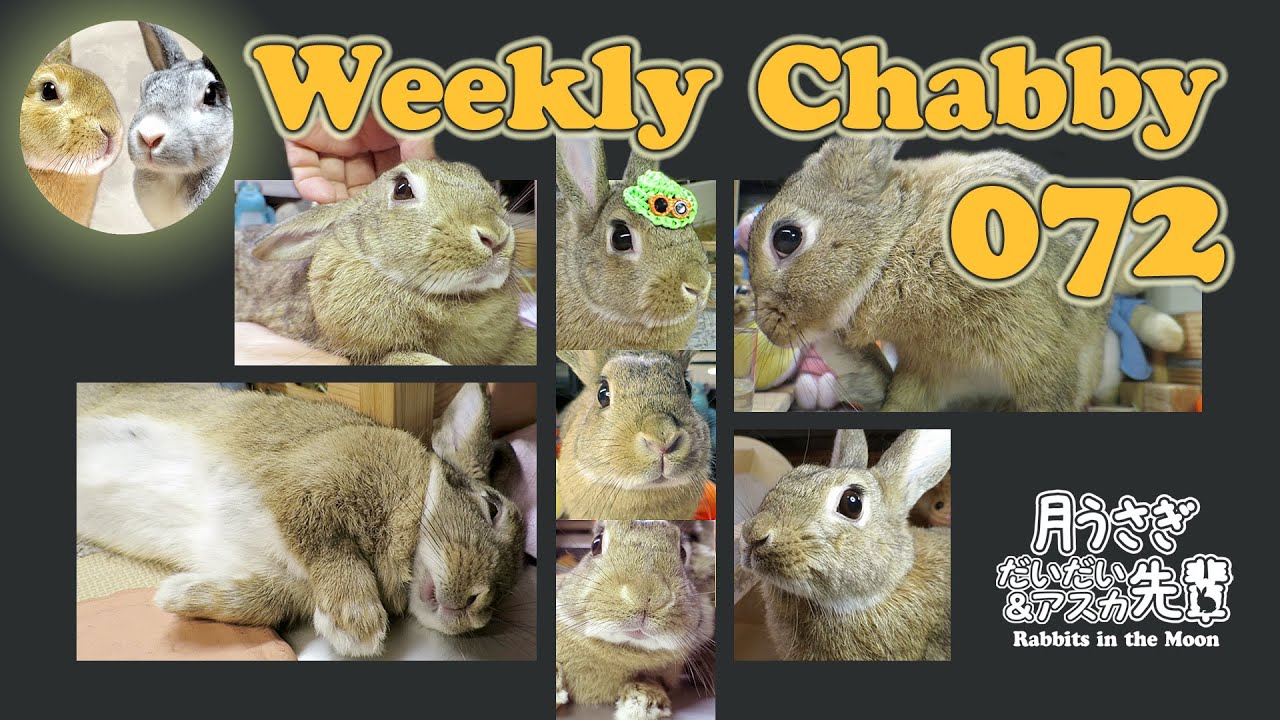 Weekly Chabby 072 - YouTube
