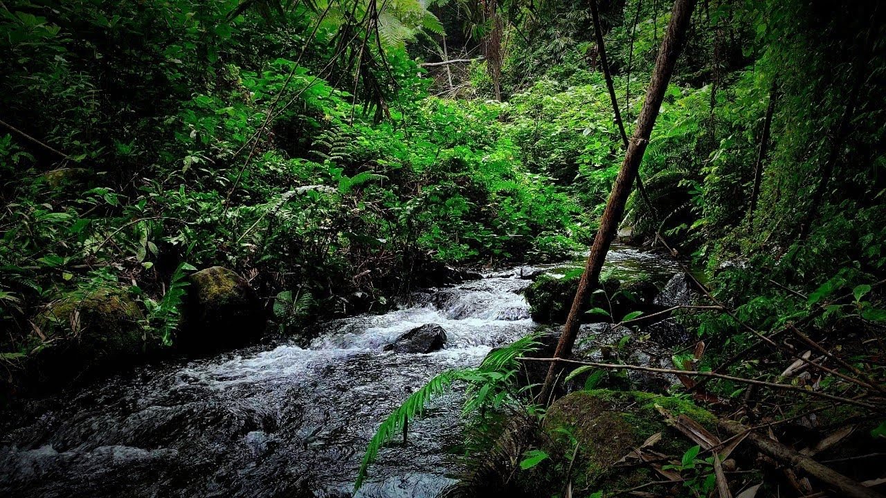 3D sound Water Sounds & Relaxing Music for Stress Relief, Sleeping ...