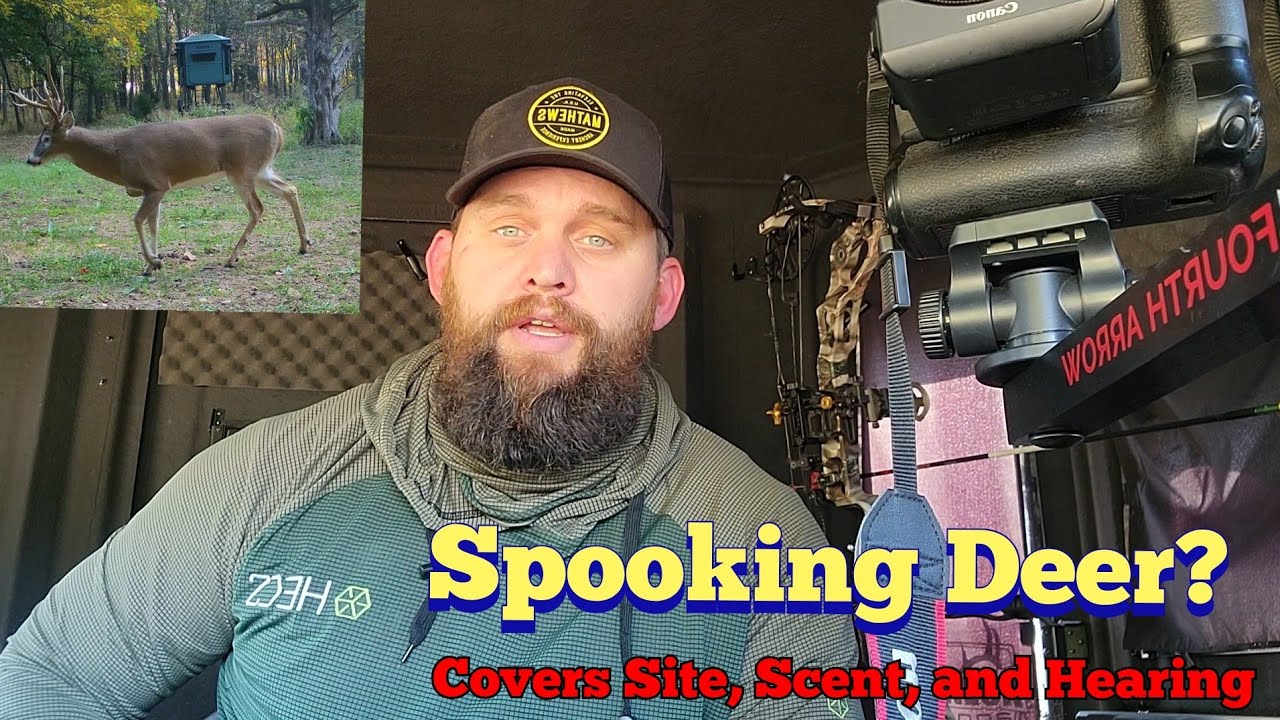 How to Not Spook Deer | KOAM Outdoors Strategies - YouTube