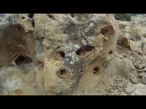 The Hunt for Baculites in the Book Cliffs of Colorado - YouTube