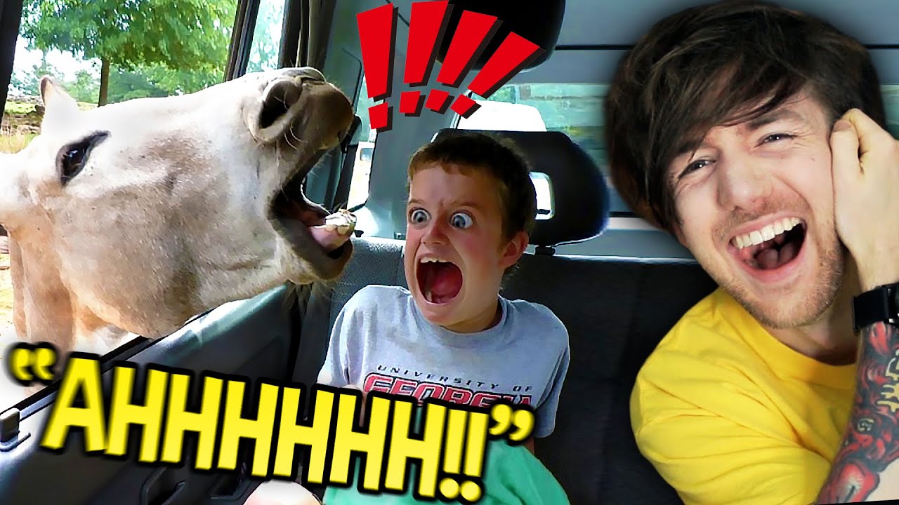 PERFECTLY CUT SCREAMS (HILARIOUS) - YouTube
