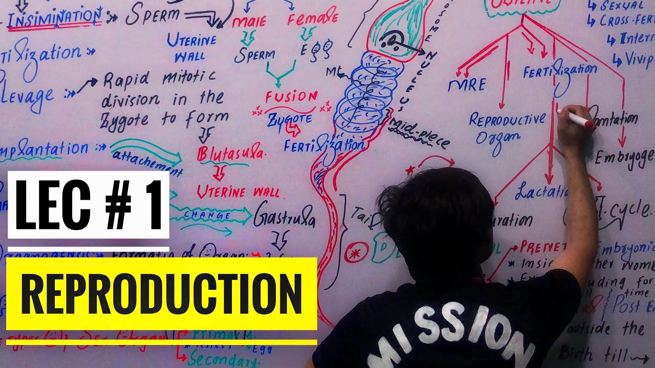 Introduction To Reproduction 🔥| Reproduction Concept | 2nd year Biology ...