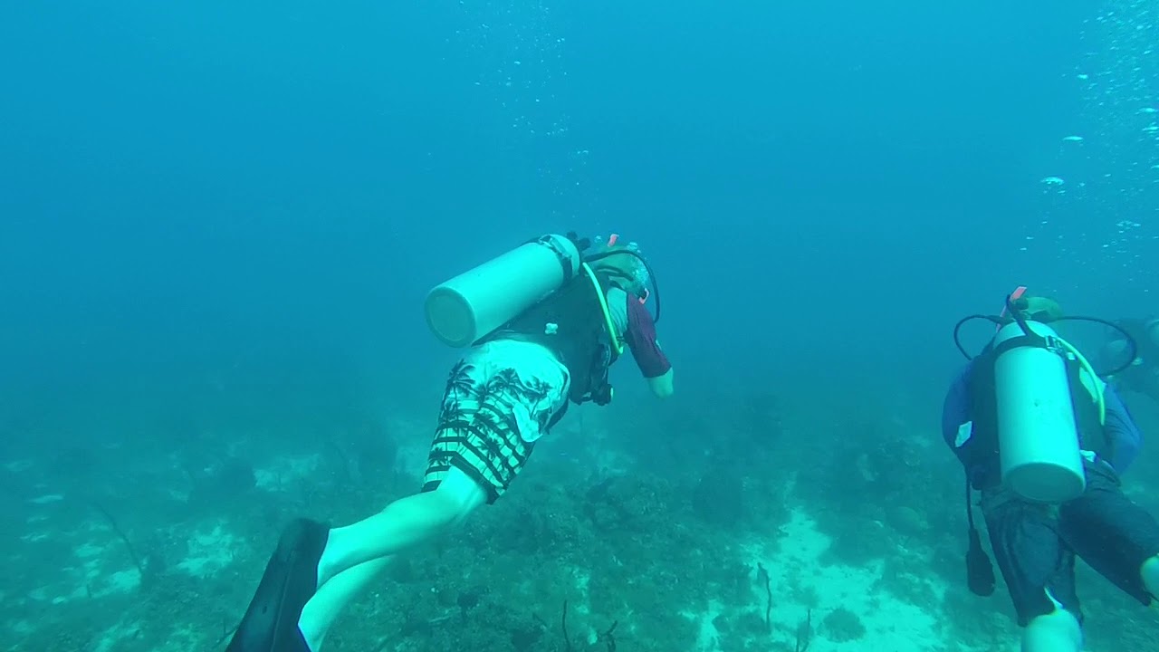 Commercial Diver Certification - prntbl.concejomunicipaldechinu.gov.co