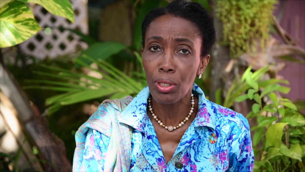 Social Justice - Ambassador Dessima M. Williams - COP24 ...