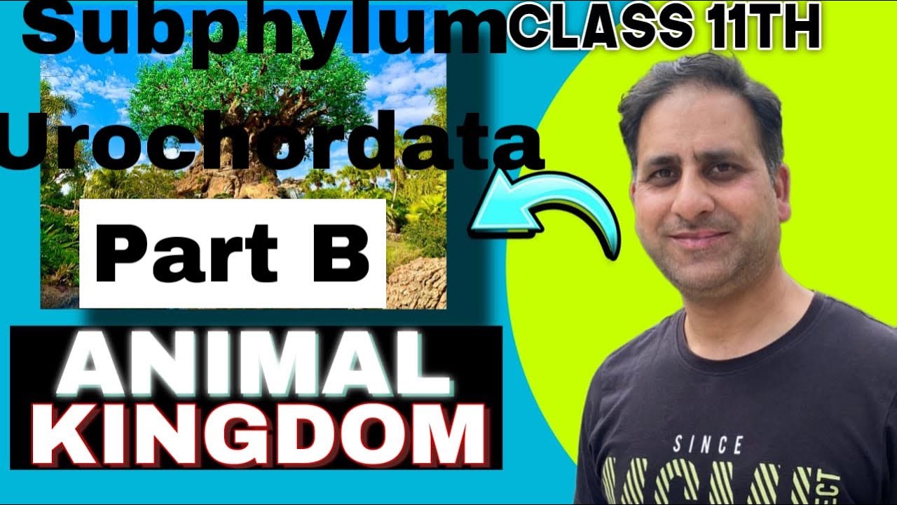 Animal kingdom | Subphylum Urochordata | Class 11th 12th NEET | Part B ...