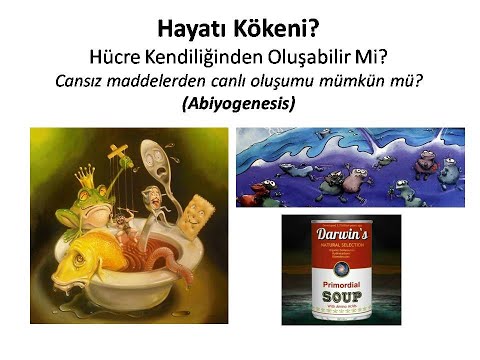 CANSIZ MADDELERDEN CANLI BİLEŞİKLER (ABİYOGENEZ) MÜMKÜN MÜ? HÜCRE NASIL OLUŞTU?