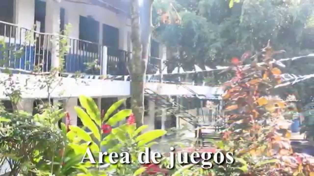 Complejo Educativo Walter A Soundy Glasswing - YouTube