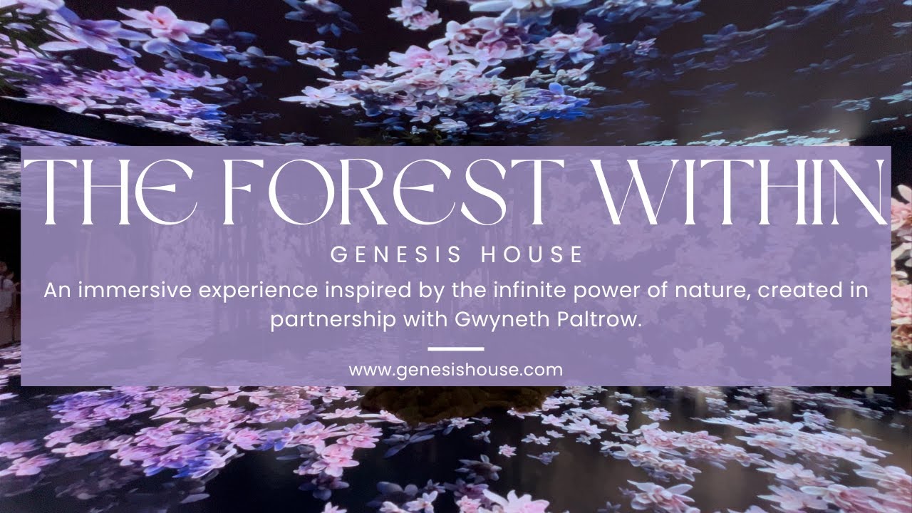 THE FOREST WITHIN • AN IMMERSIVE NATURE EXPERIENCE • GENESIS HOUSE ...