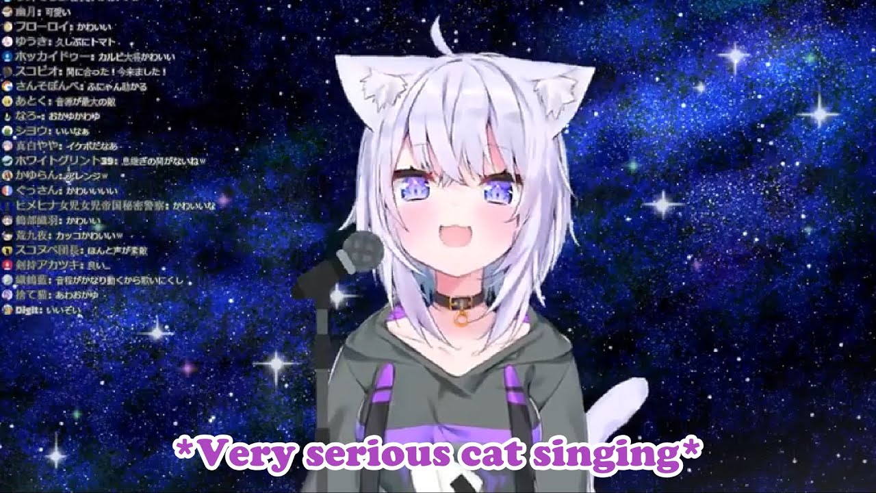 Very Serious Cat Singing - YouTube