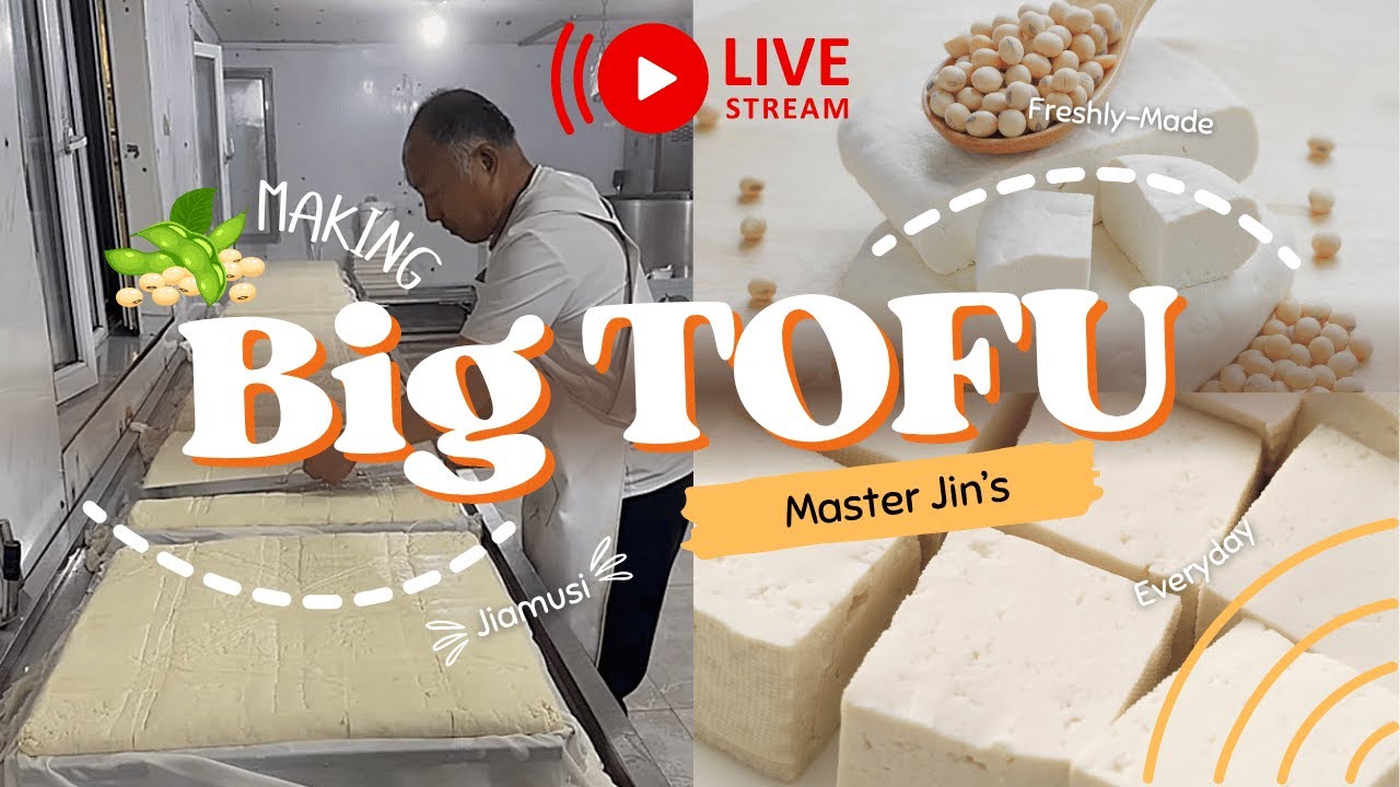 HOW It's MADE: Traditional Master Jin's Big TOFU🔴LIVE🔴 - YouTube