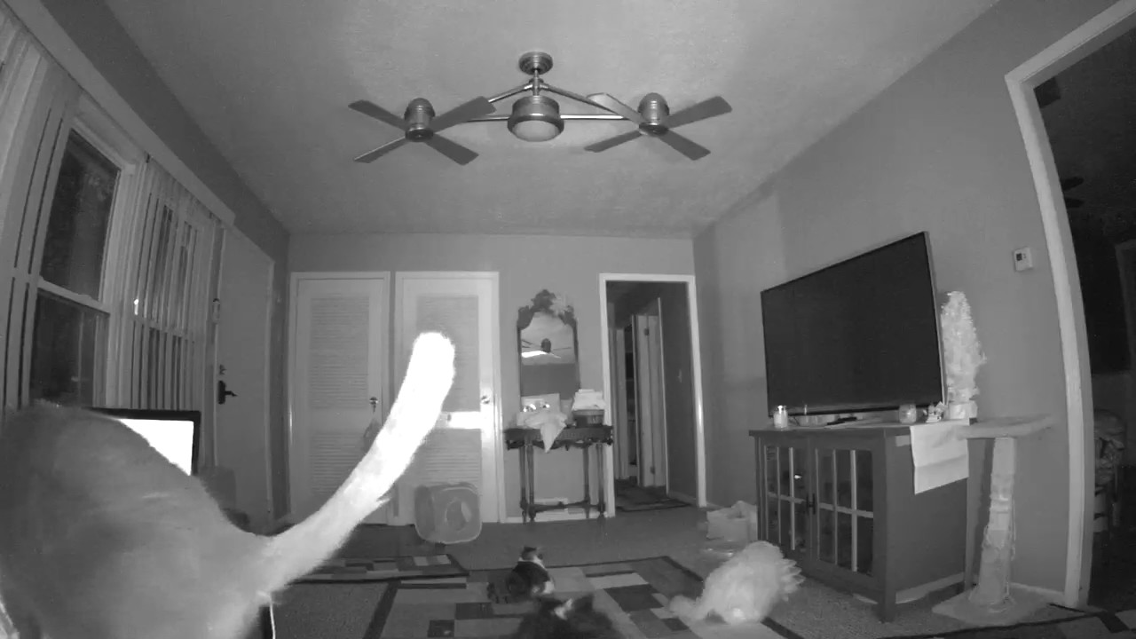 Orbs in my home #8 - YouTube