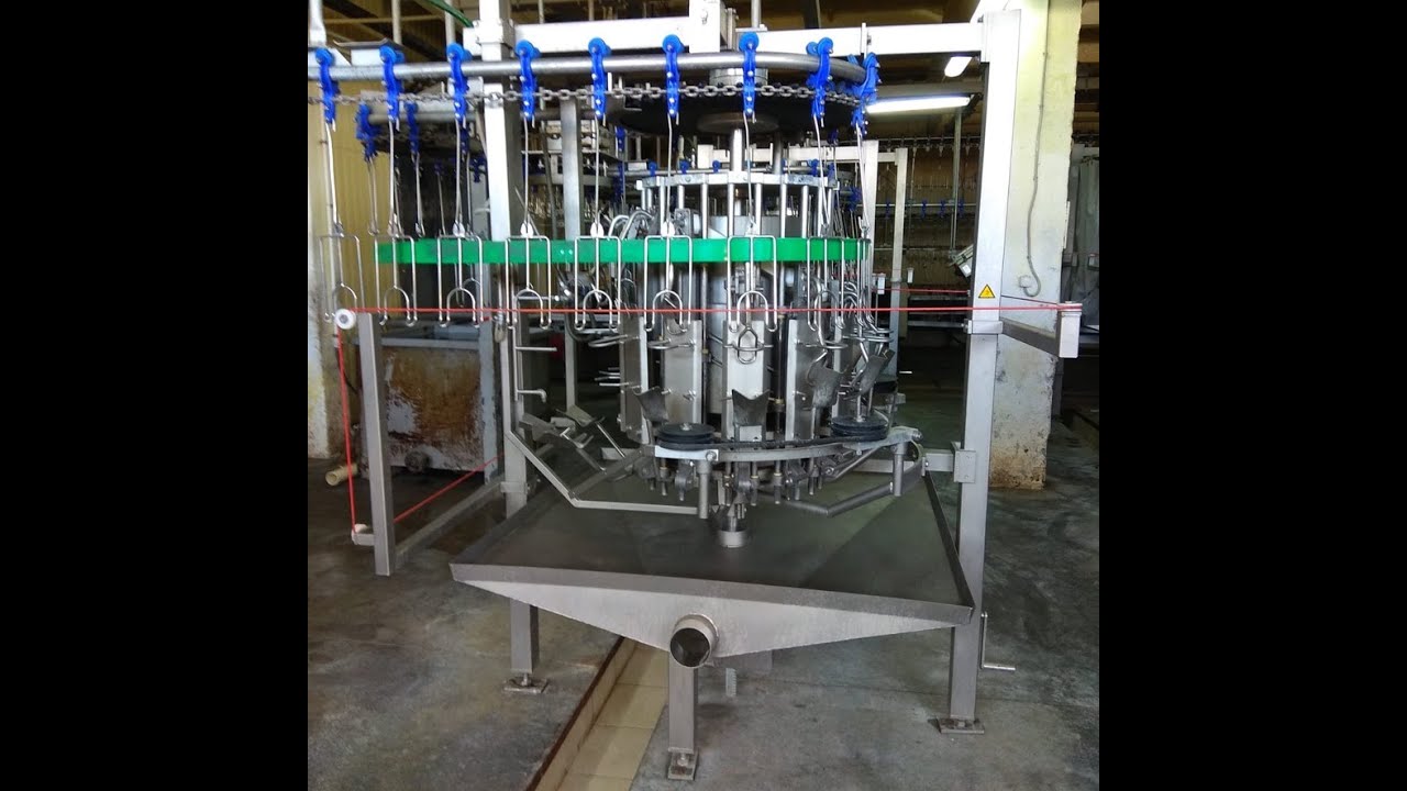 Systemate automatic evisceration line 4000 BPH - YouTube