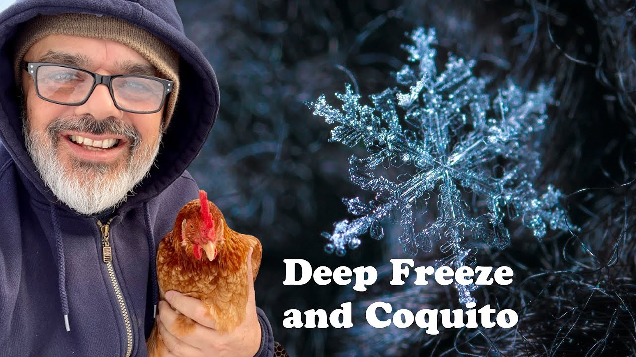 Winter DEEP FREEZE but COQUITO Fixes Everything - YouTube