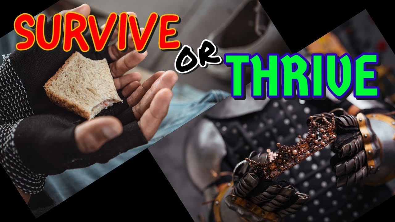 SURVIVE or THRIVE + The three components of Survival - YouTube