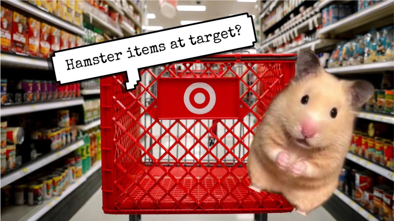 🐹 Target hamster items! | going to target for hamster supplies | Gemma ...