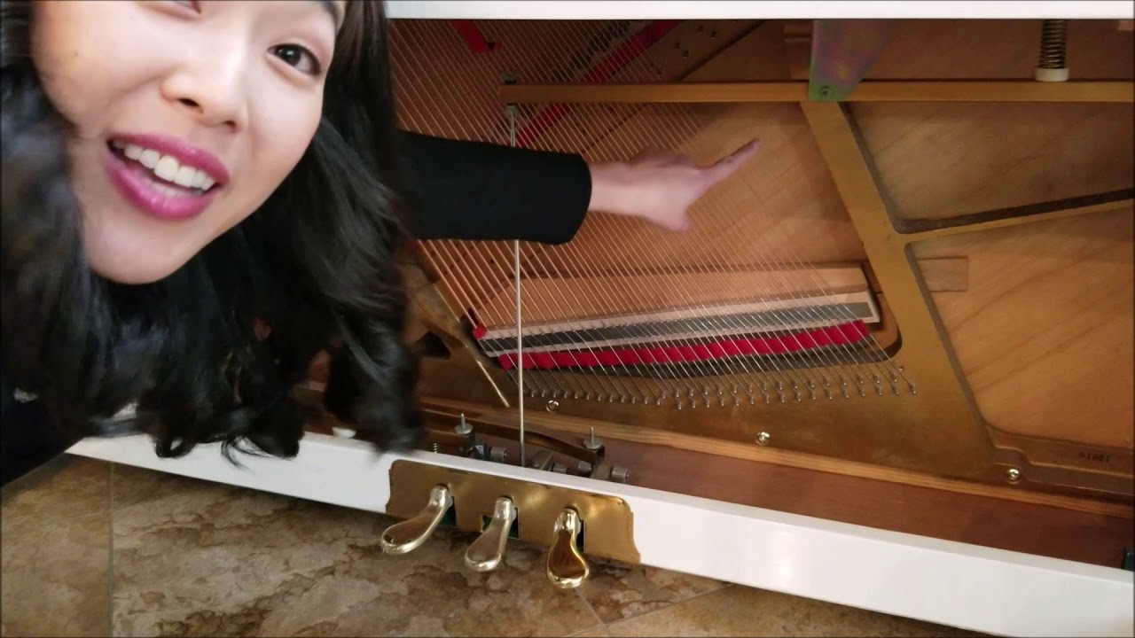 Piano Lesson 006: How Pianos Work! (A Look Inside the Piano - The Parts ...