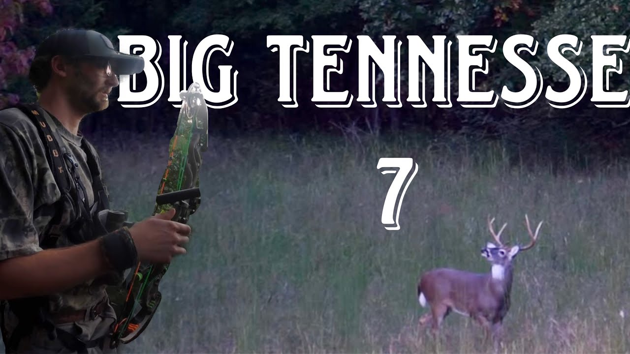 WEST TENNESSEE BOWHUNTING - BIG 7 point at 15 yards! Self filmed! - YouTube