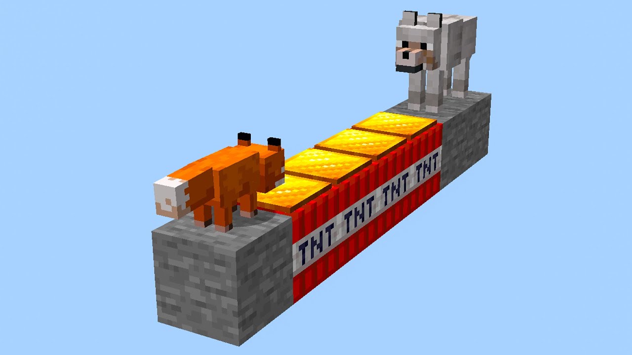 Wolf IQ Test - YouTube