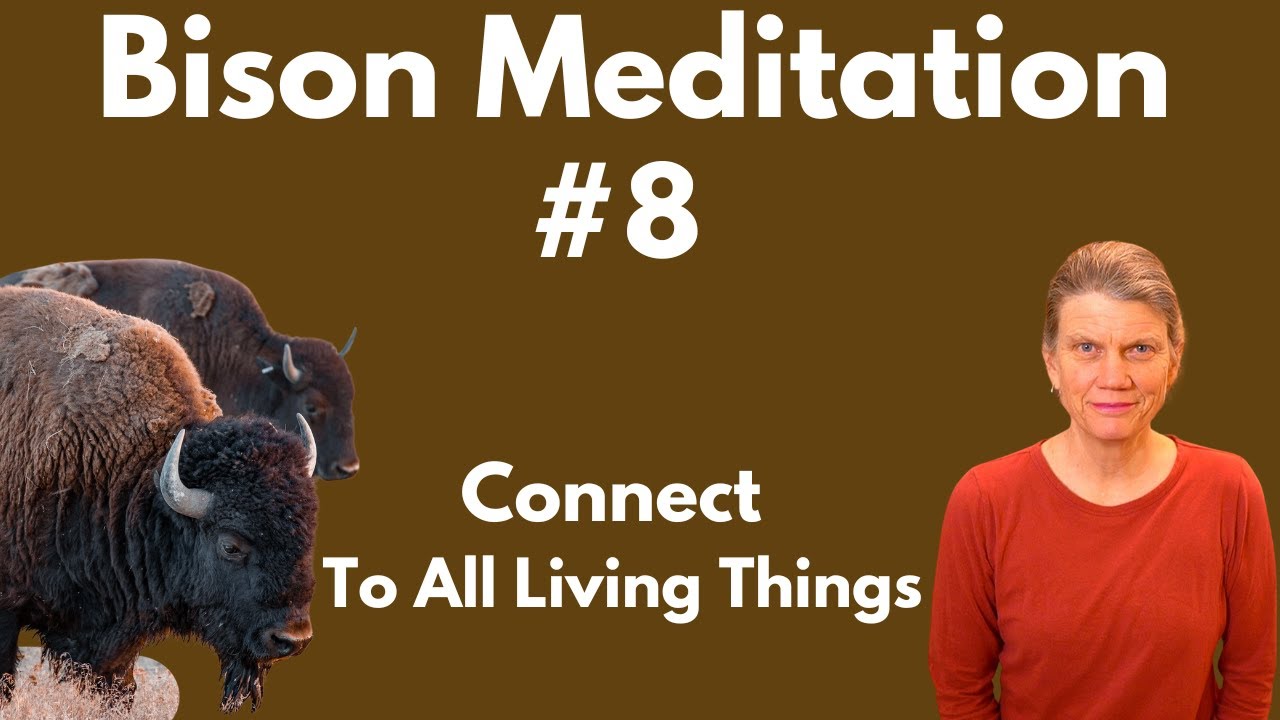 Bison 8 Meditation - Connect to All Living Things - YouTube